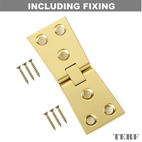 TERF Heavy Duty Polished Brass Counter Flap Hinges 100mm X 32mm (4” X 1 ...