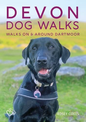 Buy Devon Dog Walks: Walks on & around Dartmoor (Love Devon) Book Online at Low Prices in India ...