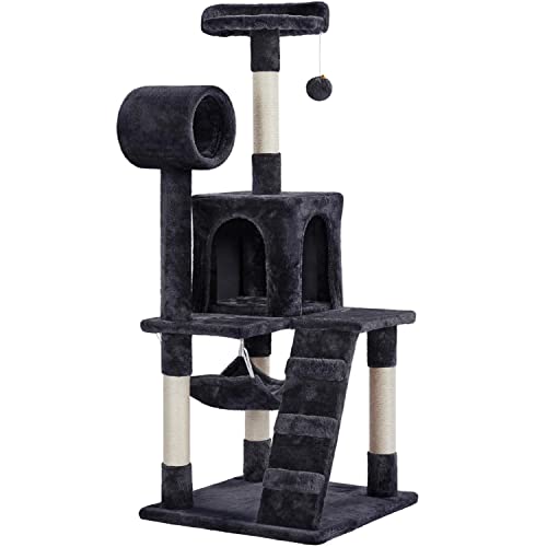 Black Cat Tree – The 15 best products compared - Wild Explained