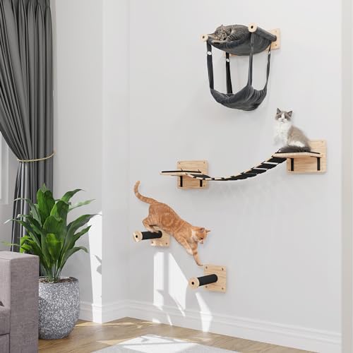 Cat Wall Furniture – The 15 best products compared - Wild Explained