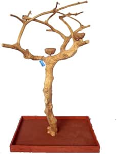 Amazon.com : Small Single Java Wood Play Stand AE250S : Birdcage Stands ...