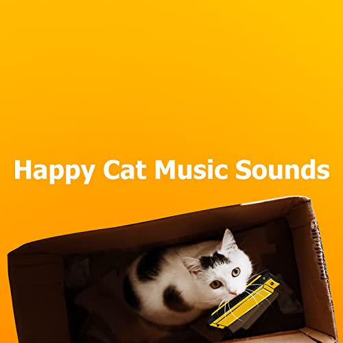 Happy Cat Music Sounds by Happy Cat Music on Amazon Music Unlimited
