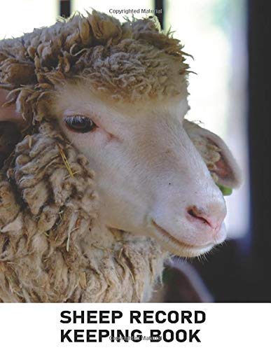 Buy Sheep Record Keeping Book: Farm Cattle Flock Lambing | Sheep ...