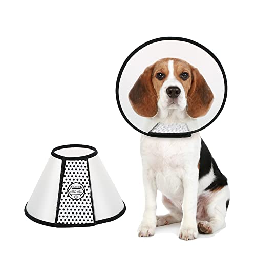 Find The Best Soft Cone For Dogs Reviews & Comparison - Katynel