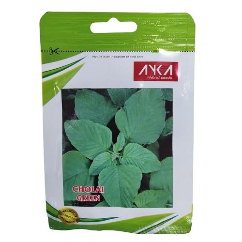 EXCEL OVERSEAS Cholai Green Seeds Farm Fresh and Nutrient-Packed ...