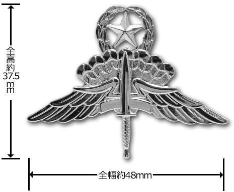 Amazon.com: Army Badge: Free Fall Master Jump Wings Halo - mirror ...