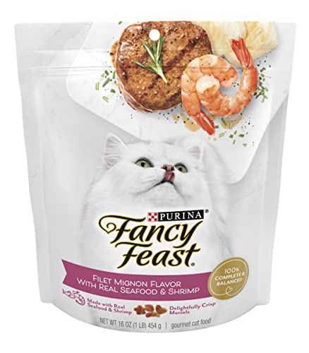 Pienso seco para gatos Fancy Feast: los 15 mejores productos comparados ...