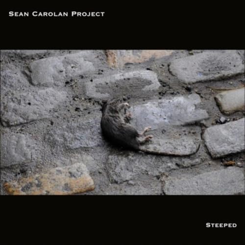 Play Steeped by Sean Carolan Project on Amazon Music