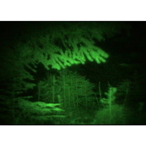 Amazon.com: MonsterQuest: Bigfoot : Movies & TV