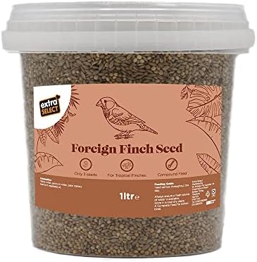 Extra Select Foreign Finch Seed Mix: Three-Seed Mix for Tropical ...