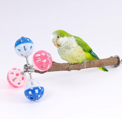 Amazon.com : Pepper Wood Bird Perch Toy with Rotating Balls,Bird Stand ...