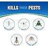 Amazon.com: Cutter Backyard Bug Control Outdoor Fogger, Kills Mosquitos ...