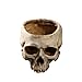 Amazon.com : Forart Retro Human Skull Head Flower Pot Planter Bed Box ...