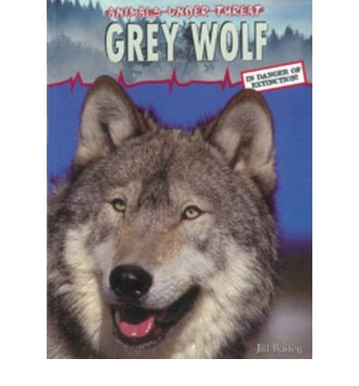 Grey Wolf (Animals Under Threat): Bailey, Jill: 9780431189116: Amazon ...