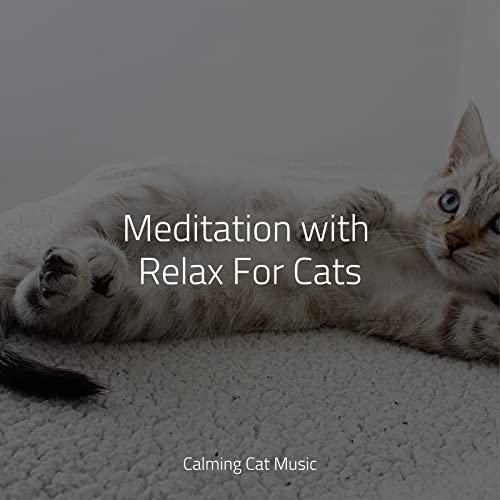 Amazon MusicでJazz Music for Cats, Music for Cats Project & Music for ...