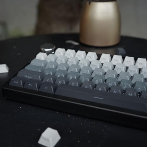 mintcaps PBT Doubleshot Backlit Keycaps Gradient Gray OEM Profile ...