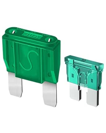 Amazon.com: 30AMP Maxi Fuses with 30AMP Standard Fuses-32V Blade Fuse ...