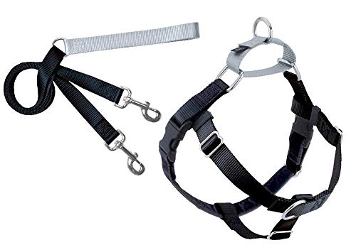 2 Hounds Freedom Harness – The 15 best products compared - Wild Explained