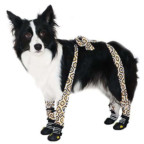 Unleash Your Stylish Pup: Top 10 Dog Leggings to Keep Your Furry Bestie ...