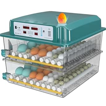 Amazon.com: Hethya Egg Incubator, Egg Incubator with Automatic Egg Turning and Humidity ...