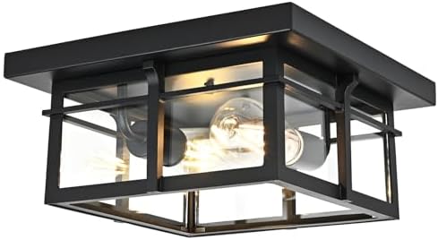 odorpower Farmhouse Ceiling Light Fixture Black 2-Light with Clear ...