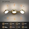 Linour Bathroom Lights Over Mirror: Brushed Gold 3-Lights 360 ...
