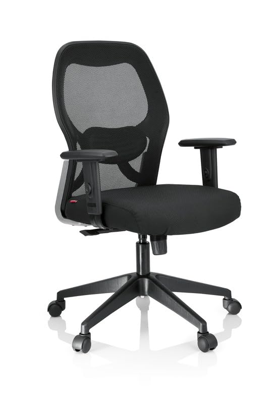 Ergoline Abs with Mesh Leon MB Office Chair, Ergonomic Office Chair for ...