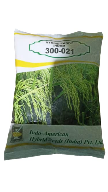 Rice seeds for agriculture Pack Of 1 (1 KG) : Amazon.in: Garden & Outdoors