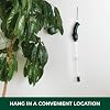 Amazon.com : Rechargeable Bug & Spider Catcher Vacuum, Strong Suction ...