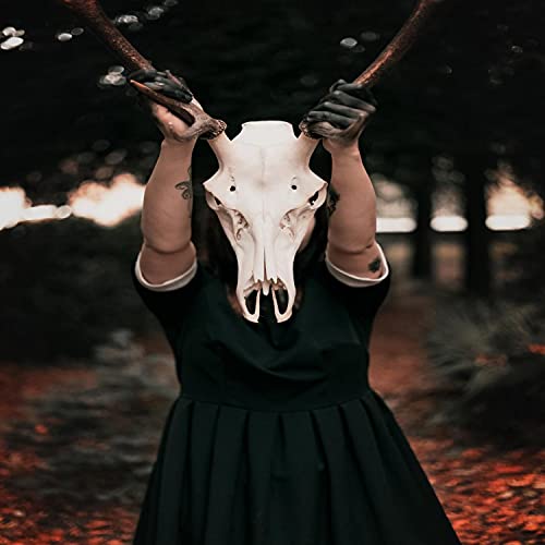 Basement de Brandon Warr en Amazon Music Unlimited