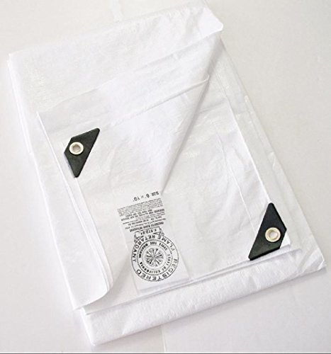 Amazon.com: 10' x 10' White FIRE/Flame Retardant Heavy Duty Poly TARP ...