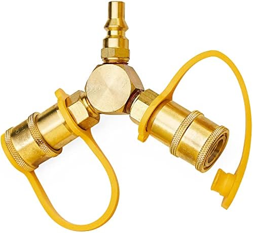 Amazon.com : Dunkive 2 Pcs 12 FT Propane Quick Connect Hoses with1/4 ...