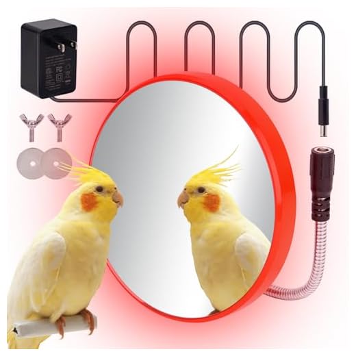 5 Best Bird Cage Heaters to Keep Your Feathered Friends Cozy This ...