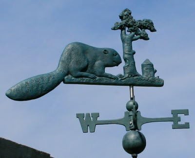 Amazon.com : WONDERFUL LARGE BEAVER WEATHERVANE : Windcup Weathervanes ...