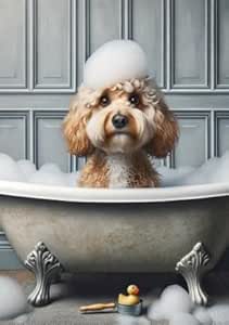 Parksmoonprints Cockapoo in Bath Print - Funny Cockerpoo Dog in ...