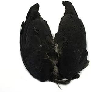 Jackdaw Wings for Fly Tying, Jackdaw Feathers, For Making Flies ...