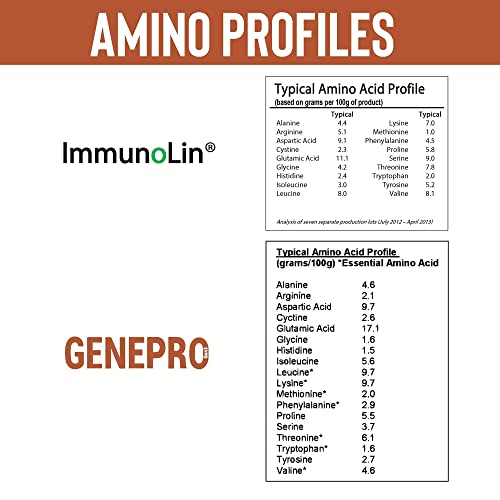 GENEPRO Protein: 45 Porções, Proteína Premium para Absorção ...