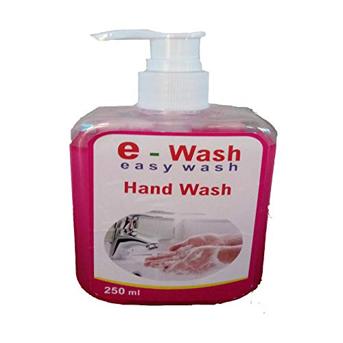 E-wash Easy Wash Liquide Hand Wash, 250ml Pack Of 2 : Amazon.in: Health ...