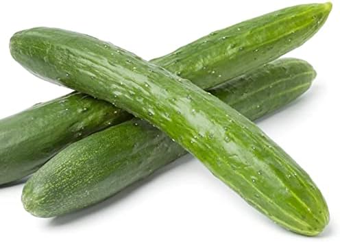 Amazon.com : Early Long Cucumbers “Japanese Long” – 60 Days to Harvest ...