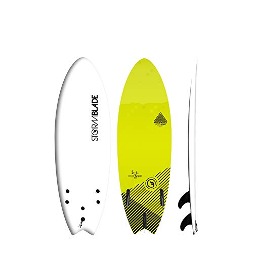 Top 6 Best Swallow Tail Surfboards | 2021 Reviews (Rock-It)