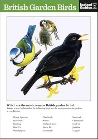 British Garden Birds: The Instant Guide (Instant Guides): Amazon.co.uk ...