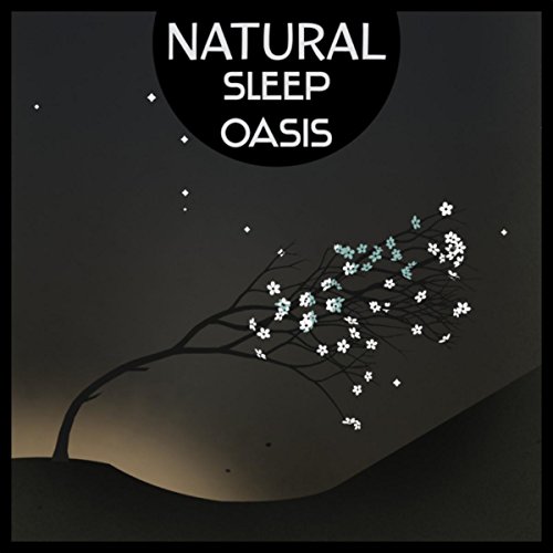 Play Natural Sleep Oasis – Deep Sleep with Relaxing Tracks of Nature ...