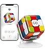 GoBalance Play & Sport - Premium Interactive Wooden Balance Board with ...