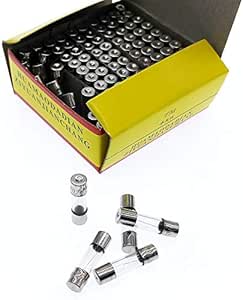 Replacement Fuse 100pcs Fast-Blow Tube Fuses Assorted Kit 5mmx20mm 250V ...