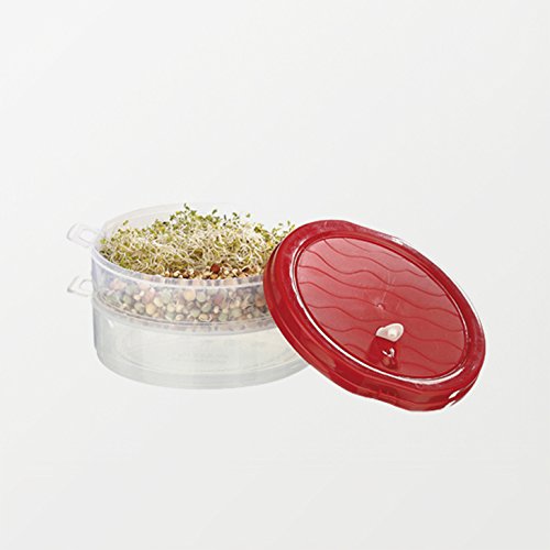 Primeway Junior Sprout Maker Container Organic Home Making Sprouts, Red ...