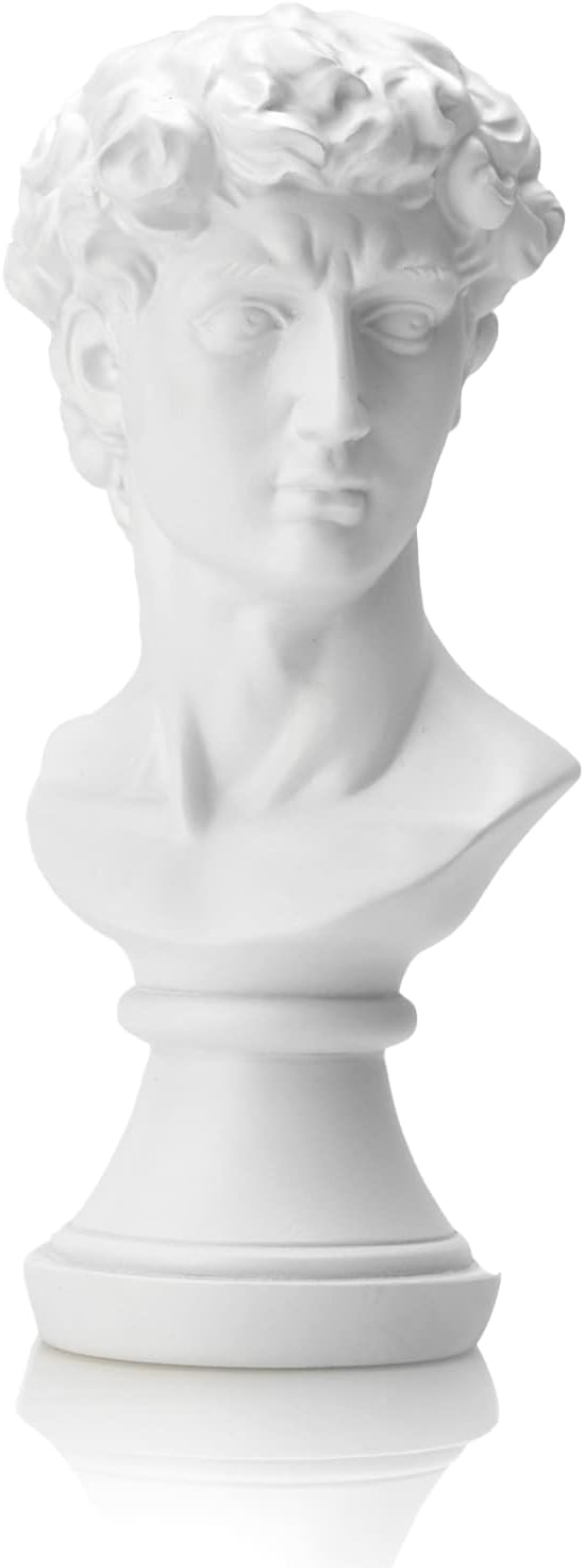 Amazon.com: BOIHEGU White David Statue Home Decor, 8 inch Resin David ...