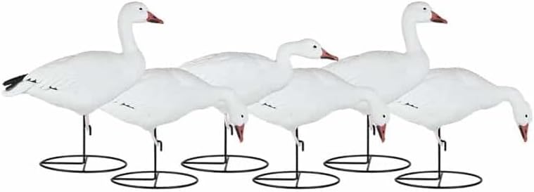 Amazon.com : Series Snows, Snow Goose decoys, 6 Packs Featuring 3 ...