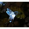 WSgift Solar Hummingbird String Lights, 15.8 Ft 30 Warm White LED ...