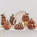 Amazon.com: Expressive Pumpkin Family Fall Decor, Large Resin Pumpkins ...