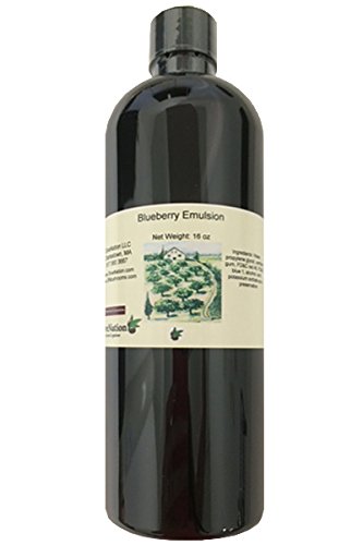 Amazon.com : OliveNation Blueberry Emulsion for Baking, Add Flavor of ...